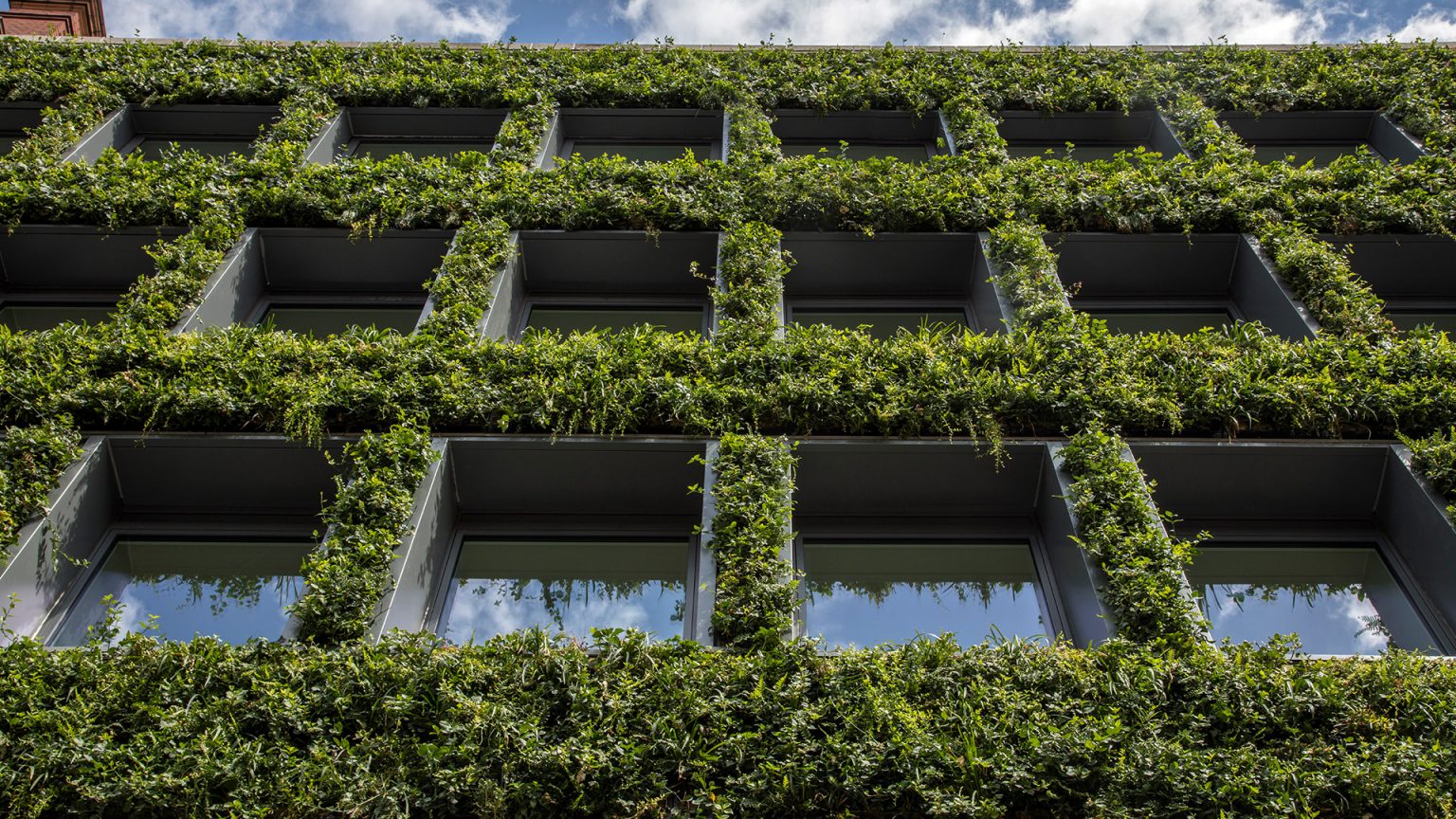 David Morley Architects