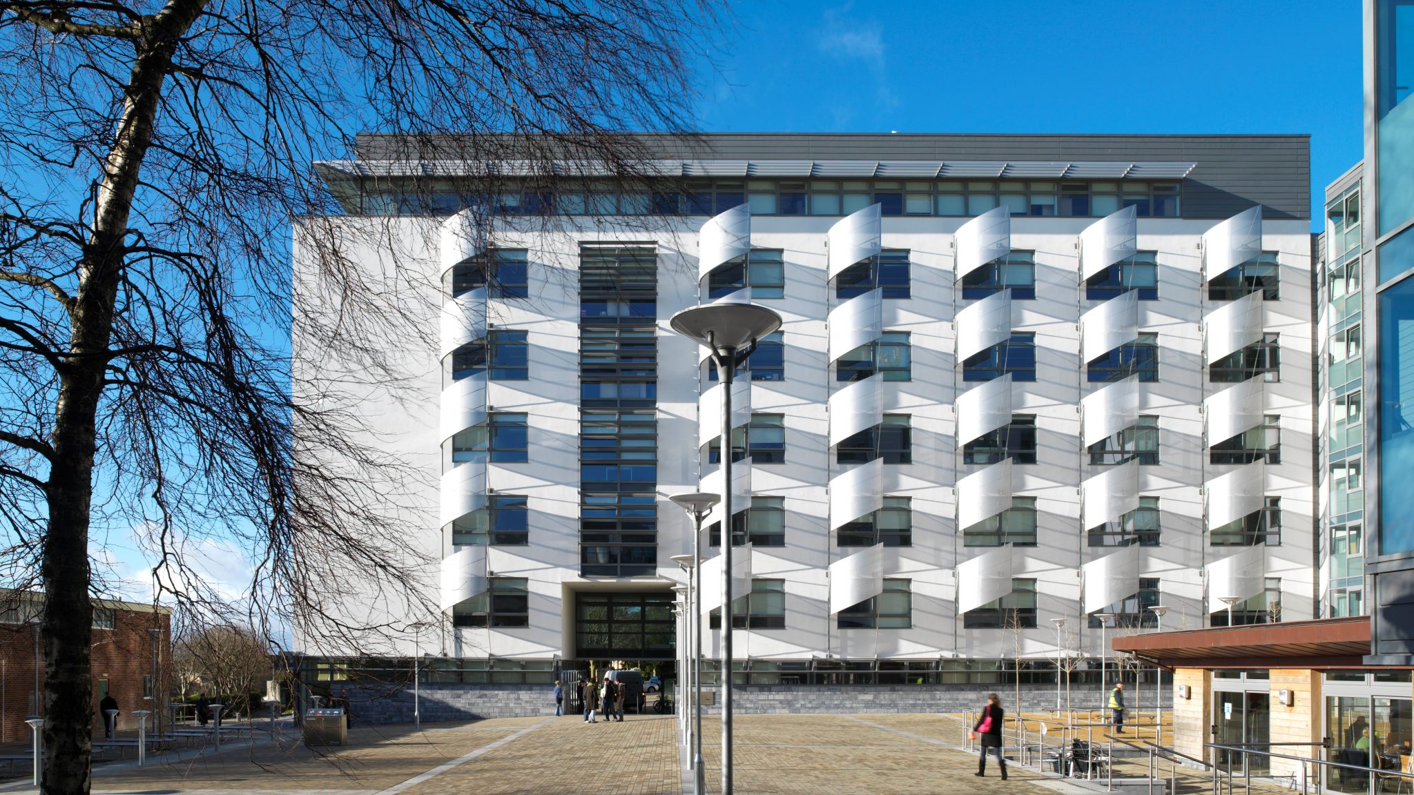 Project | David Morley Architects