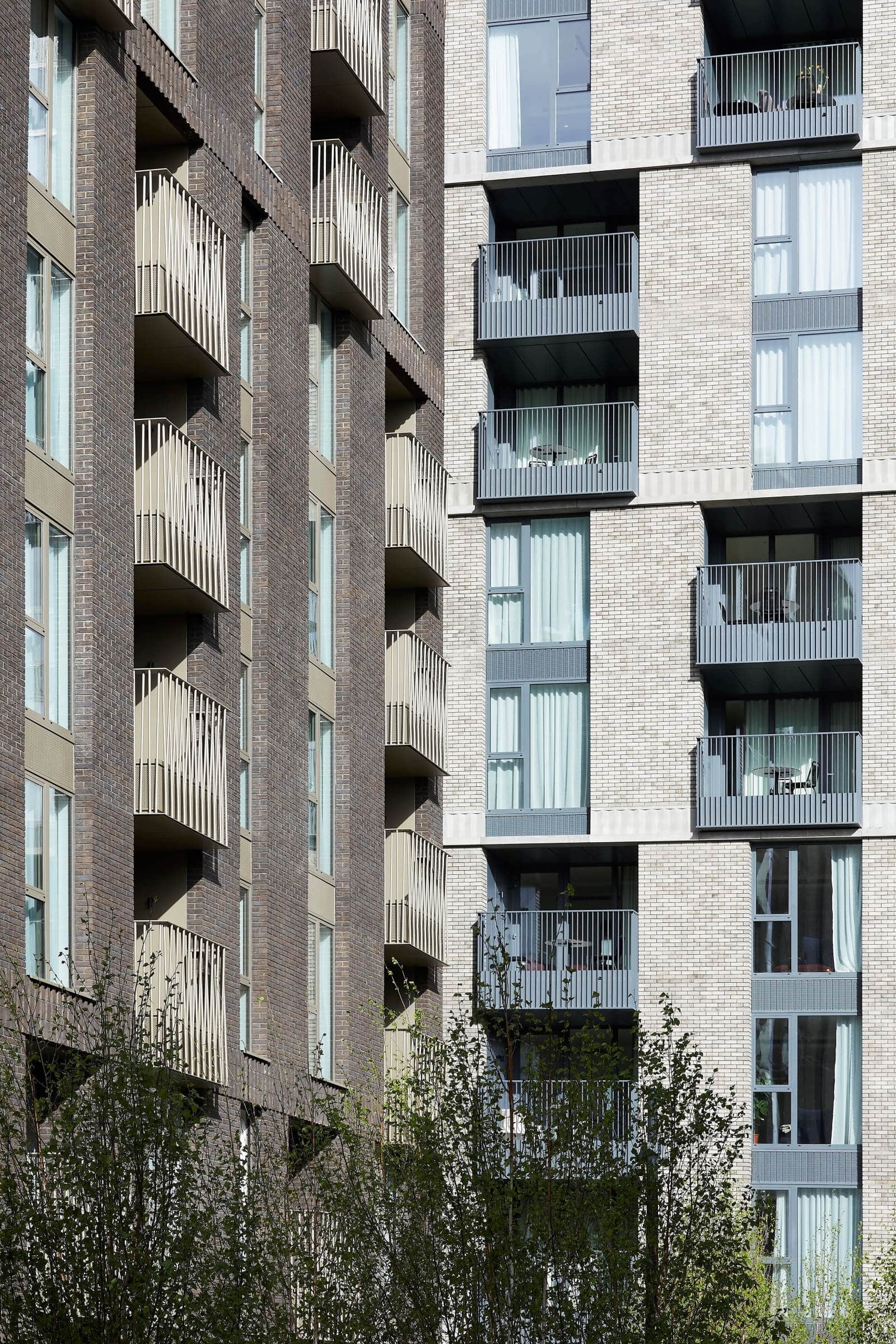 Project | David Morley Architects